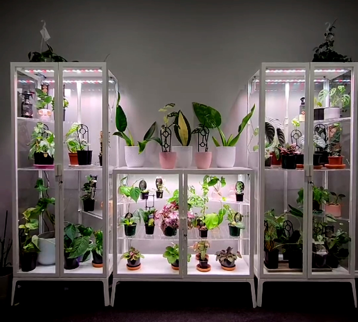 Best Horticulture LED Lighting - MMLED