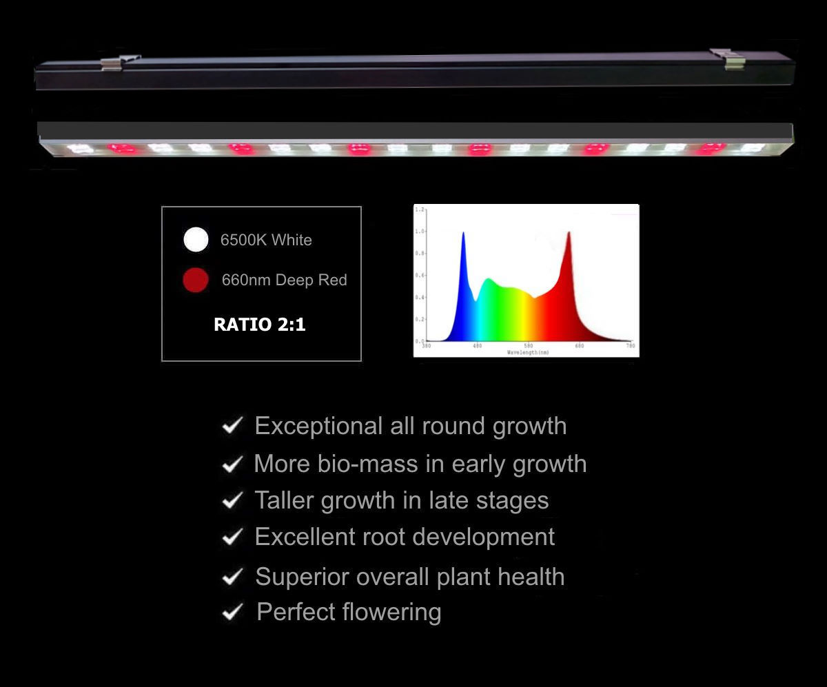 Best Horticulture LED Lighting - MMLED