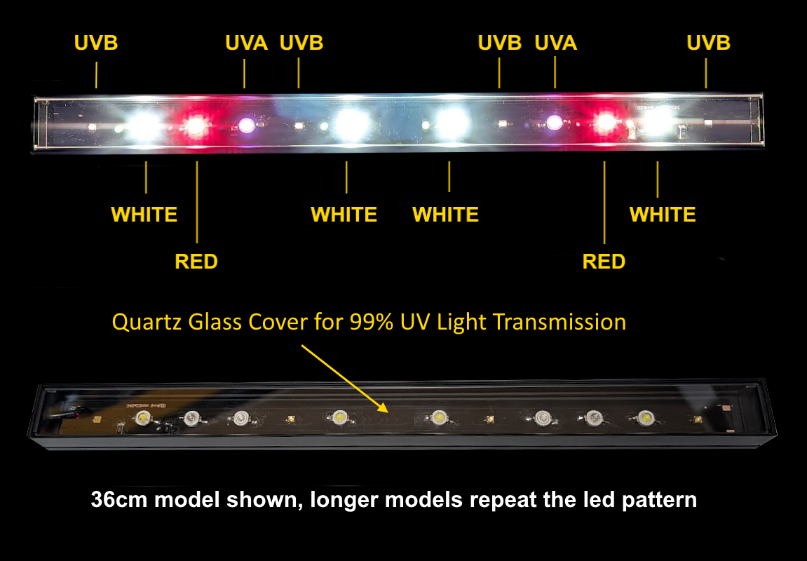 Best LED Lighting for Reptiles and Amphibians - MMLED